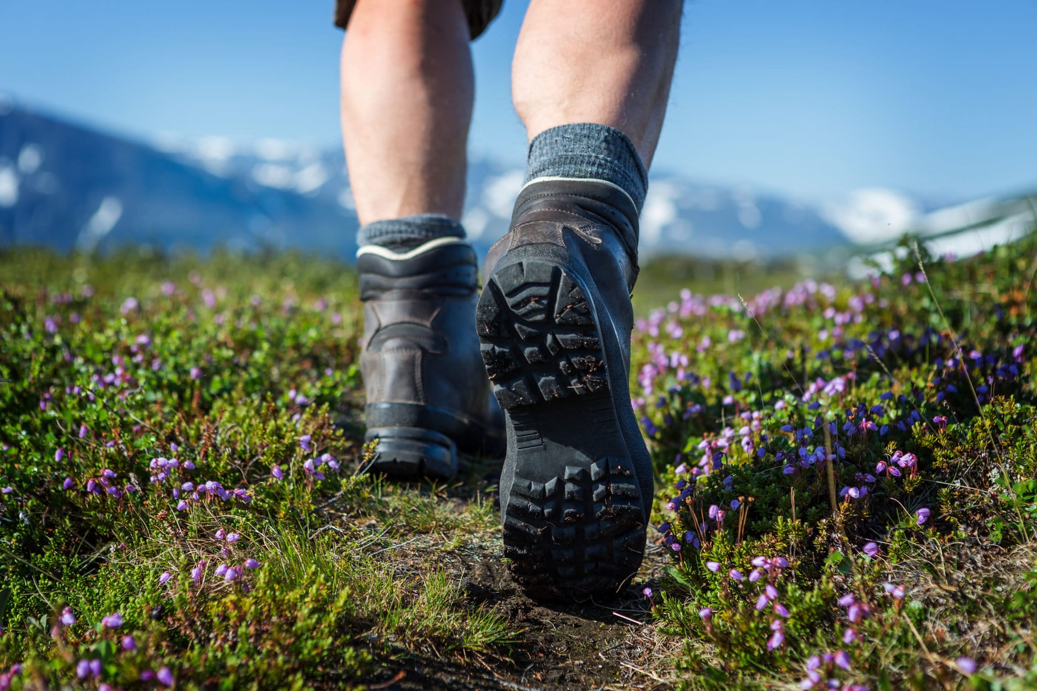Best Shoes for Alaska Travel (2026 Guide)
