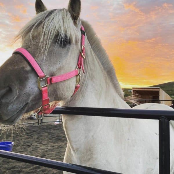 Where to Stay in Rugged Nome, Alaska: Hotels, B&B's, + Camping